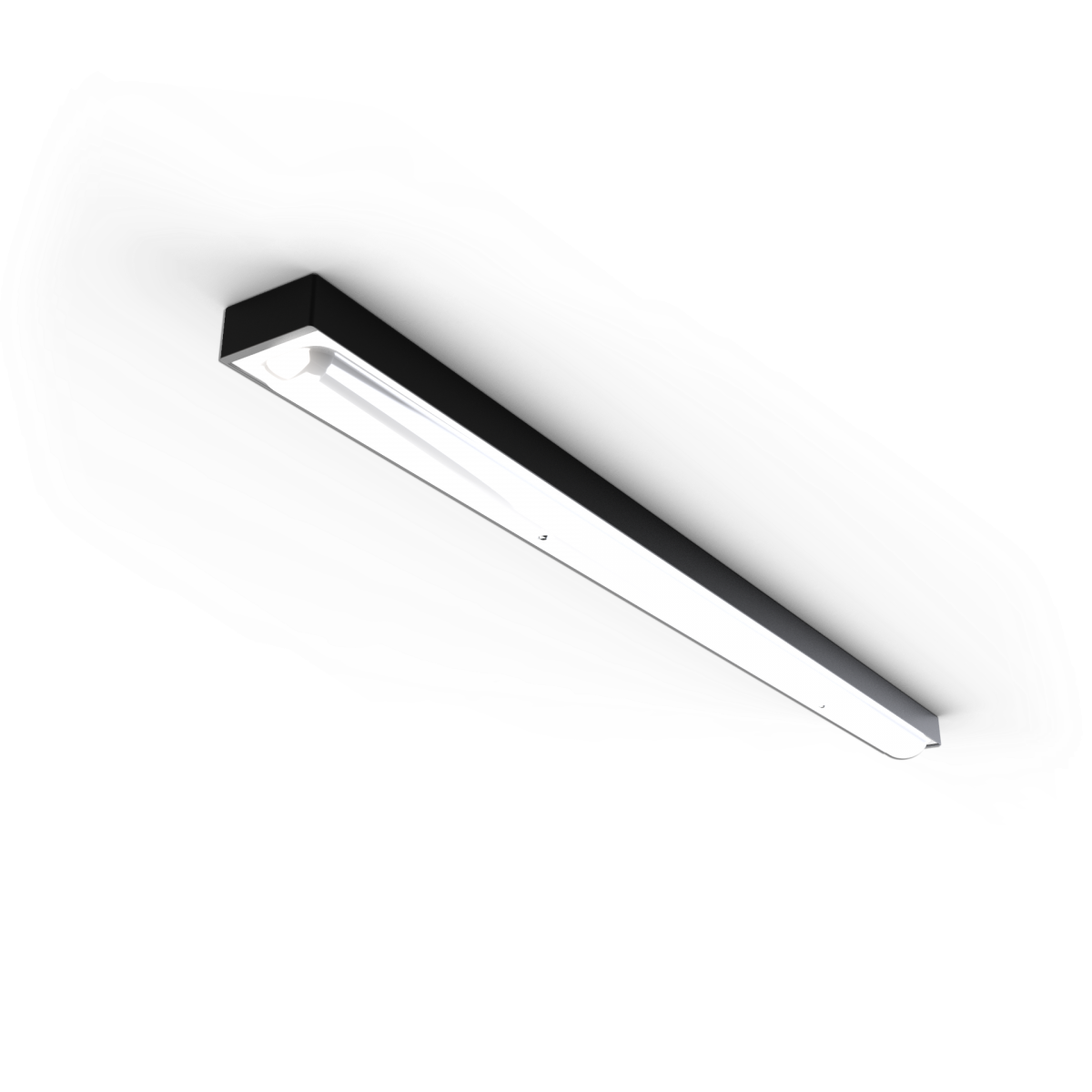 Easylux | LIGHT International